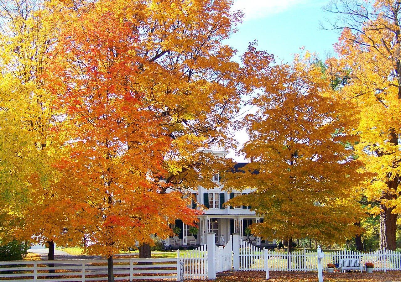 Essential Fall Home Maintenance: Practical Tips Every Homeowner ...